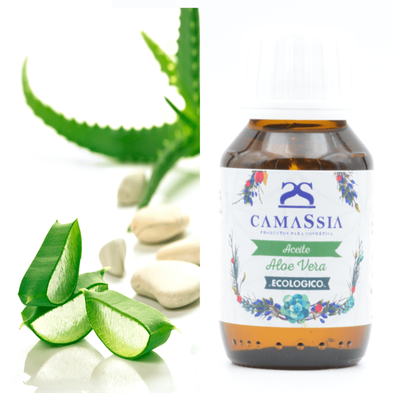 20 Antiinflamatorios Naturales para aliviar el dolor