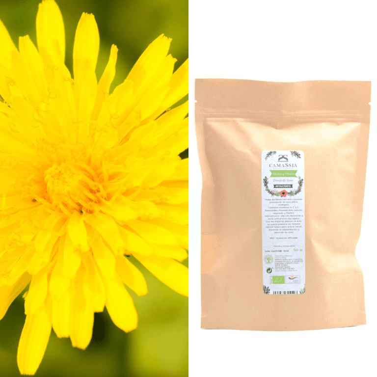 20 Antiinflamatorios Naturales para aliviar el dolor